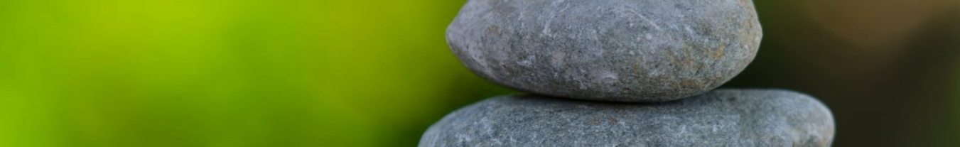 Acupuncture - Health Within Wellness Center | Beverly Hills, CA